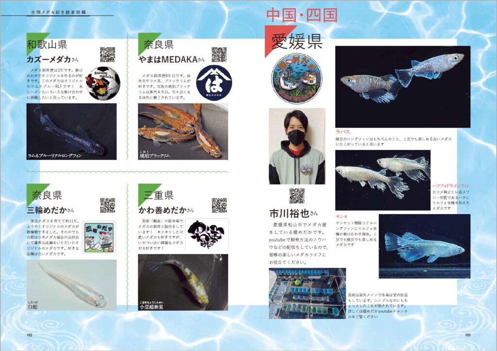 この春おすすめしたいメダカ本!メダカファンブック (双葉社)2023年3月発刊 スタッフブログ メダカの特徴 改良メダカweb図鑑